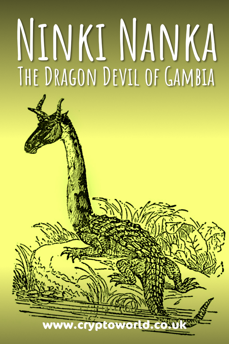 What is Ninki Nanka? – Cryptoworld