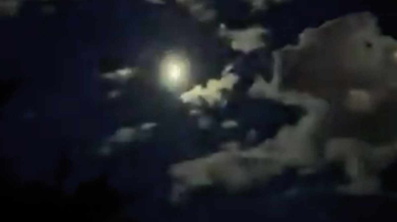 Rare Conjoined Grey Whale Calves Found in Mexico » Cryptoworld