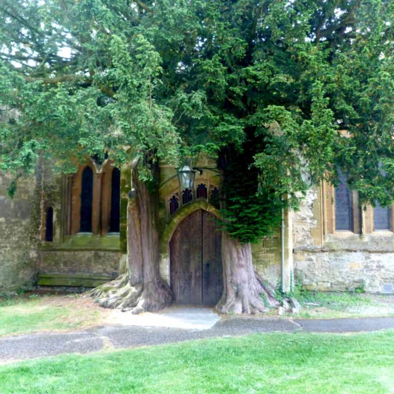 Picture: Tolkien’s Gates of Moria – Cryptoworld