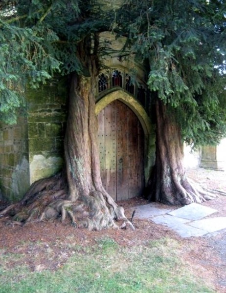 Picture: Tolkien’s Gates of Moria – Cryptoworld