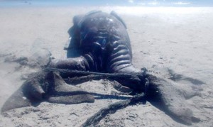 Rare Conjoined Grey Whale Calves Found in Mexico – Cryptoworld